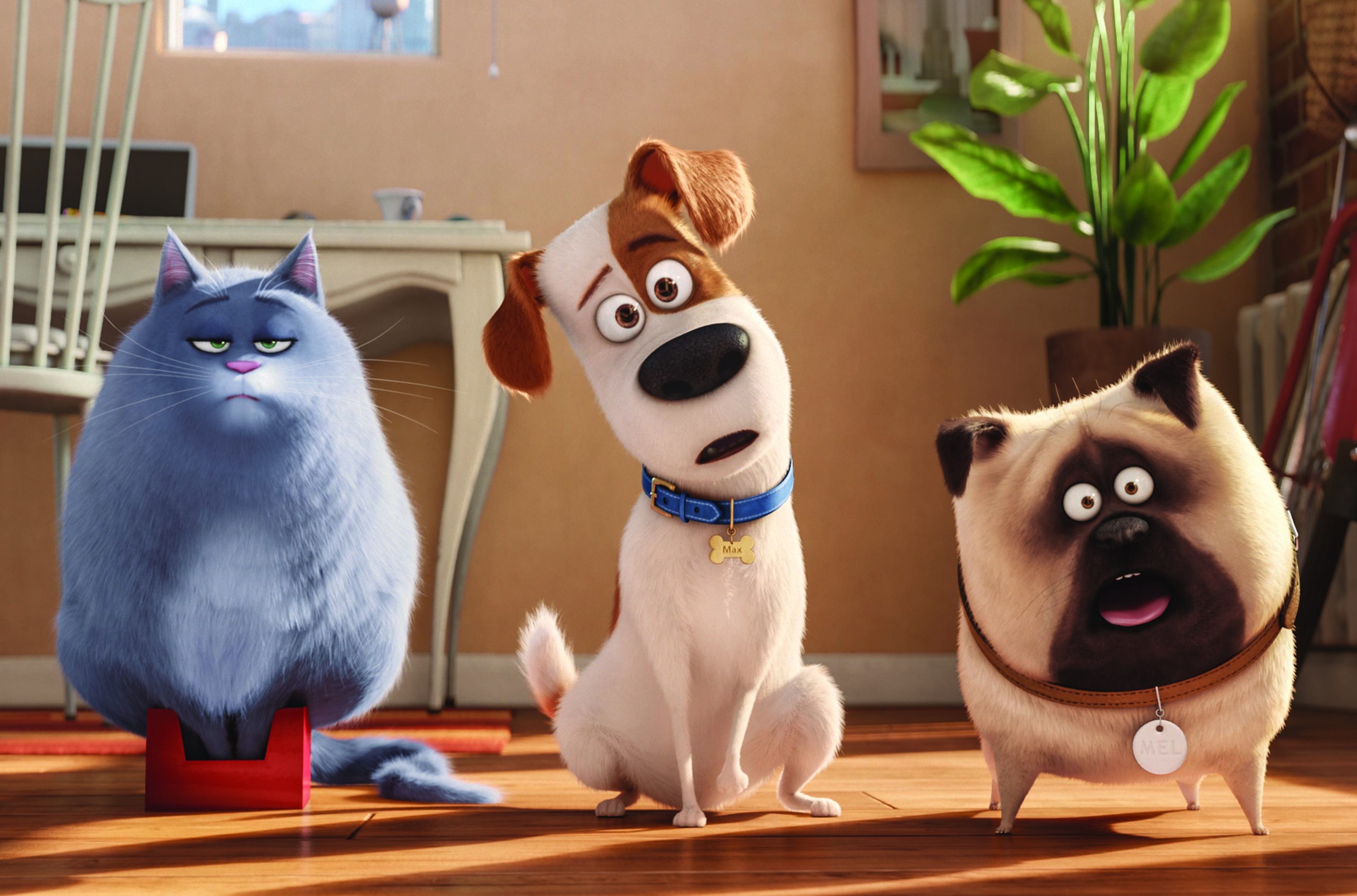 “Pets – a vida Secreta dos Bichos” é diversão garantida para toda família