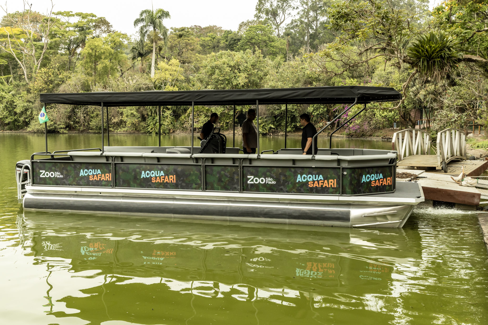 Zoológico de São Paulo – um guia completo com atrações, preços, como ...