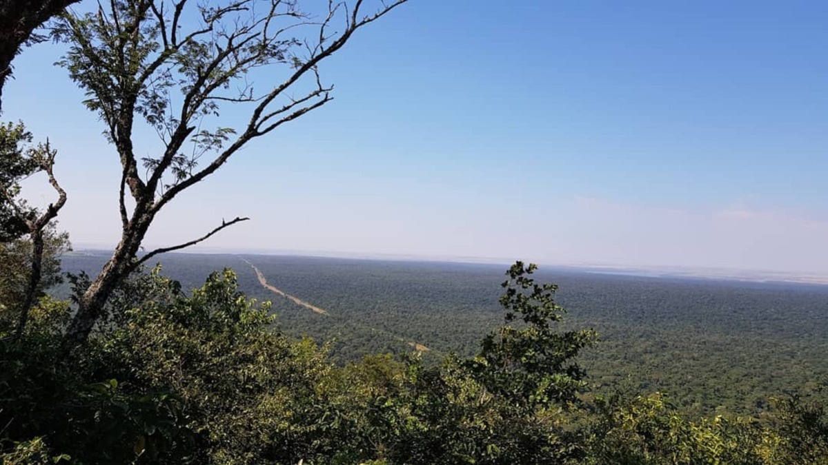 Em reforma Parque Estadual Morro do Diabo oferece trilha para os visitantes