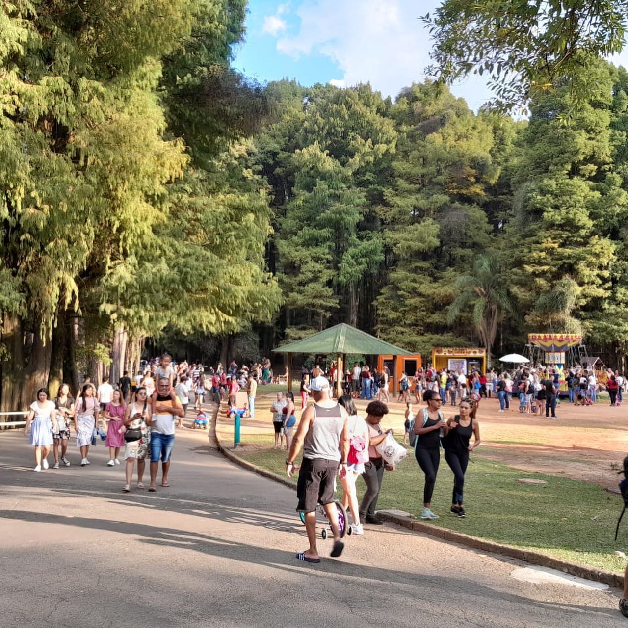 Horto Florestal em SP: o parque com café colonial e Museu que você ...