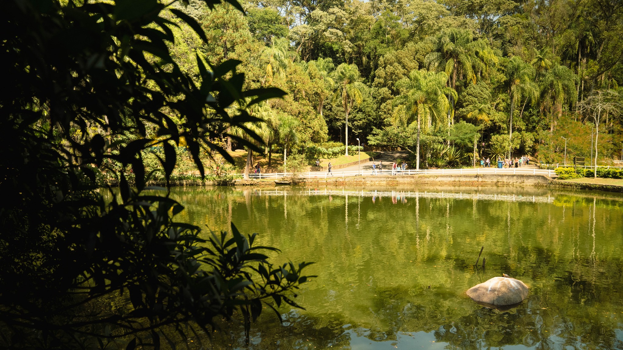 Horto Florestal em SP: o parque com café colonial e Museu que você ...