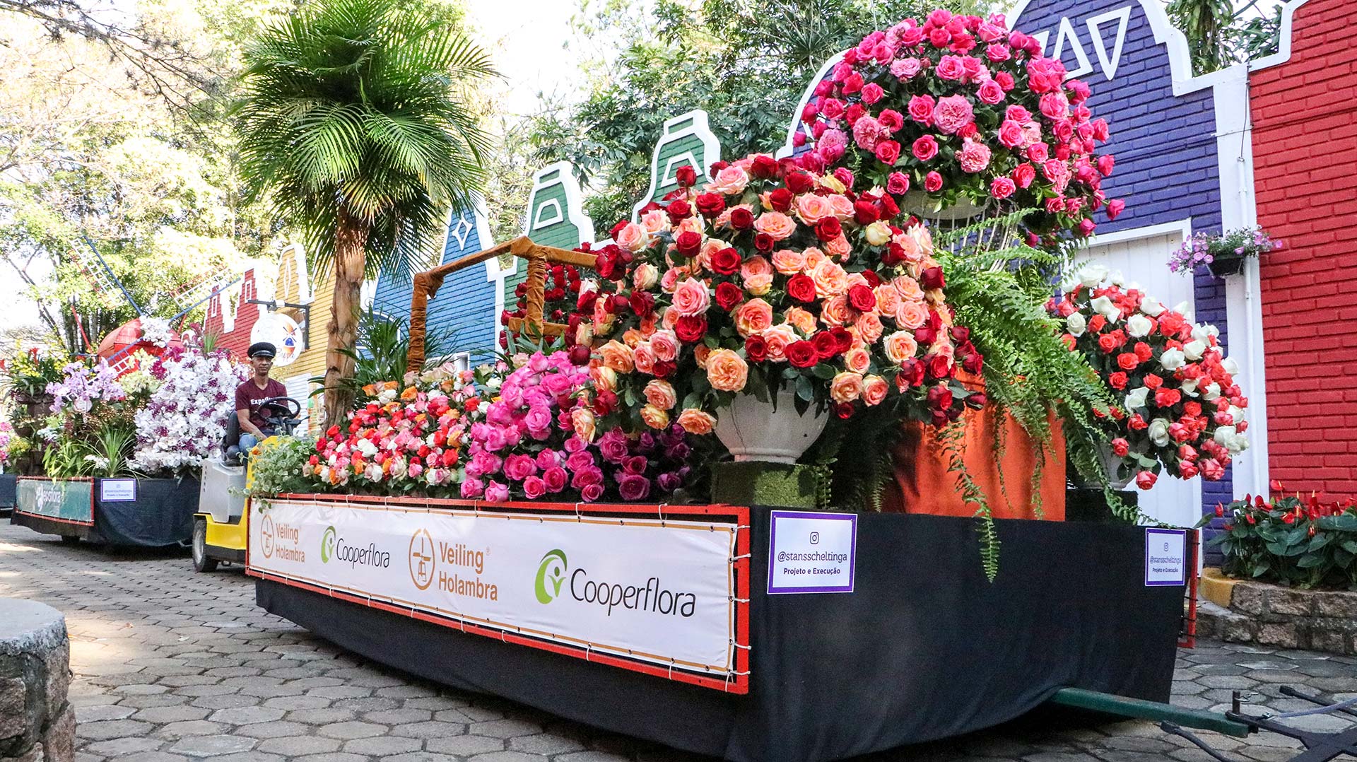 Expoflora Holambra: a 41ª edição da festa das flores mais famosa do ...