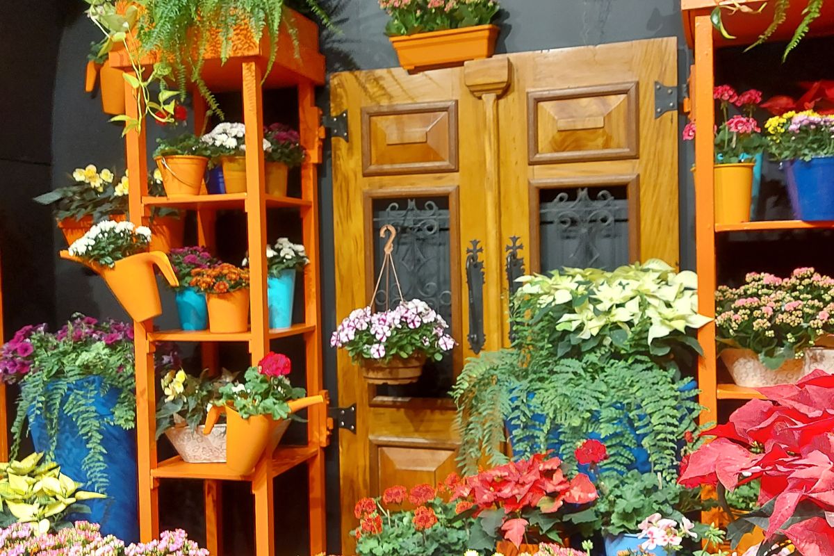 Expoflora 2025 em Holambra: últimas semanas!