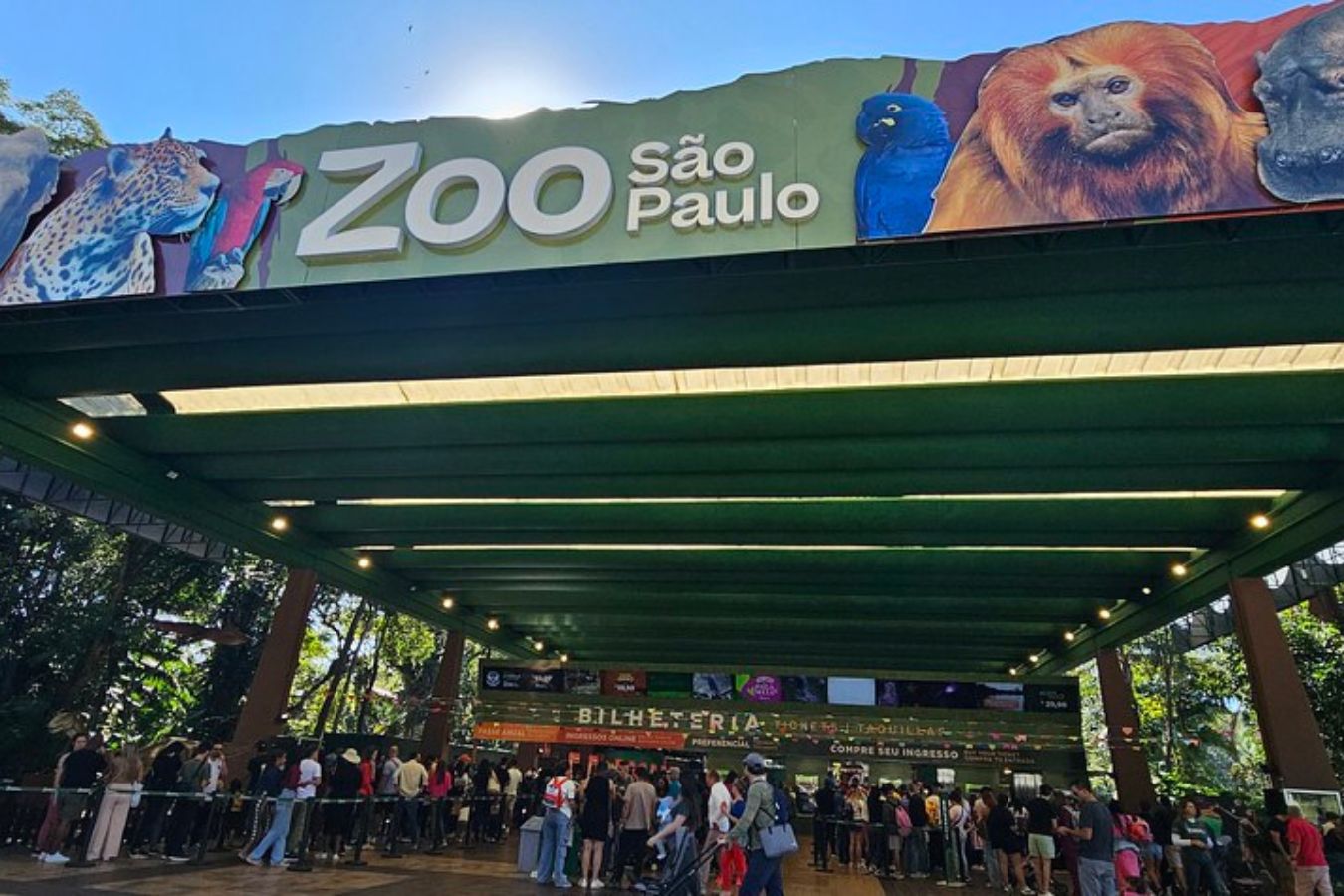 Black Friday prorrogada: Zoo SP, Simba Safari e Jardim Botânico com até ...